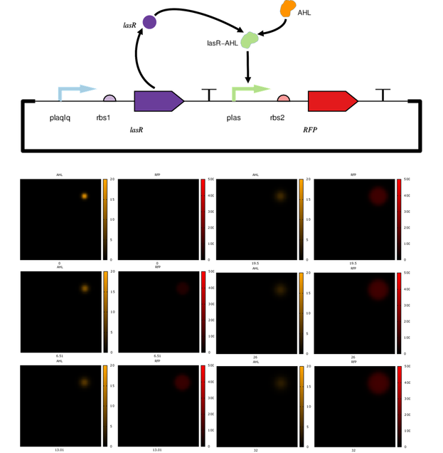 Approach » bioCPS | For Engineering Living Cells | Boston University