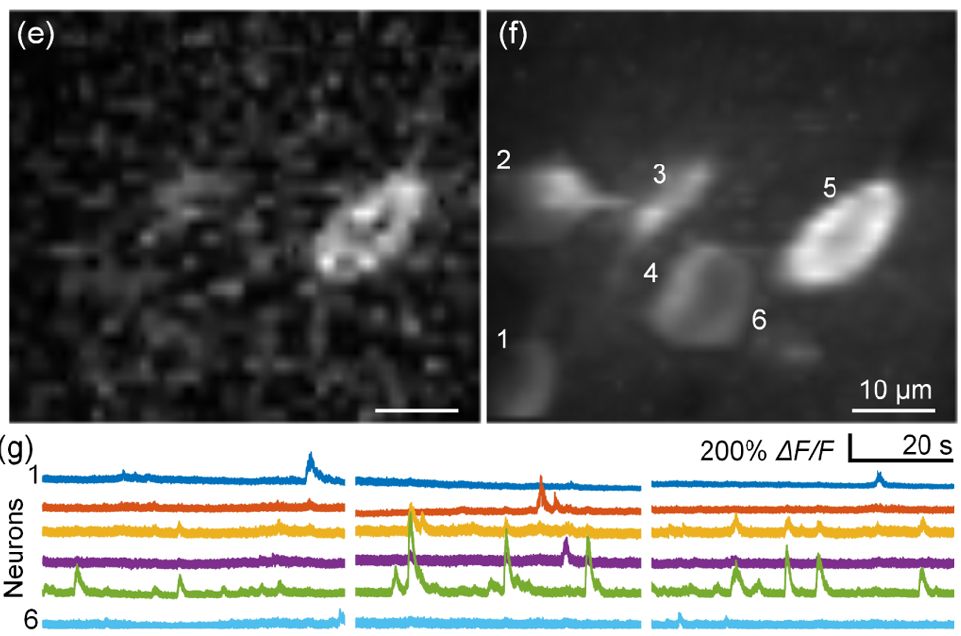 Ultrafast laser scanning | Biomicroscopy Lab