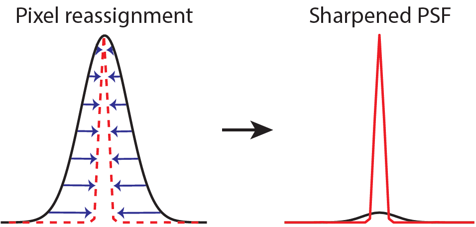 Deblurring by pixel reassignment | Biomicroscopy Lab