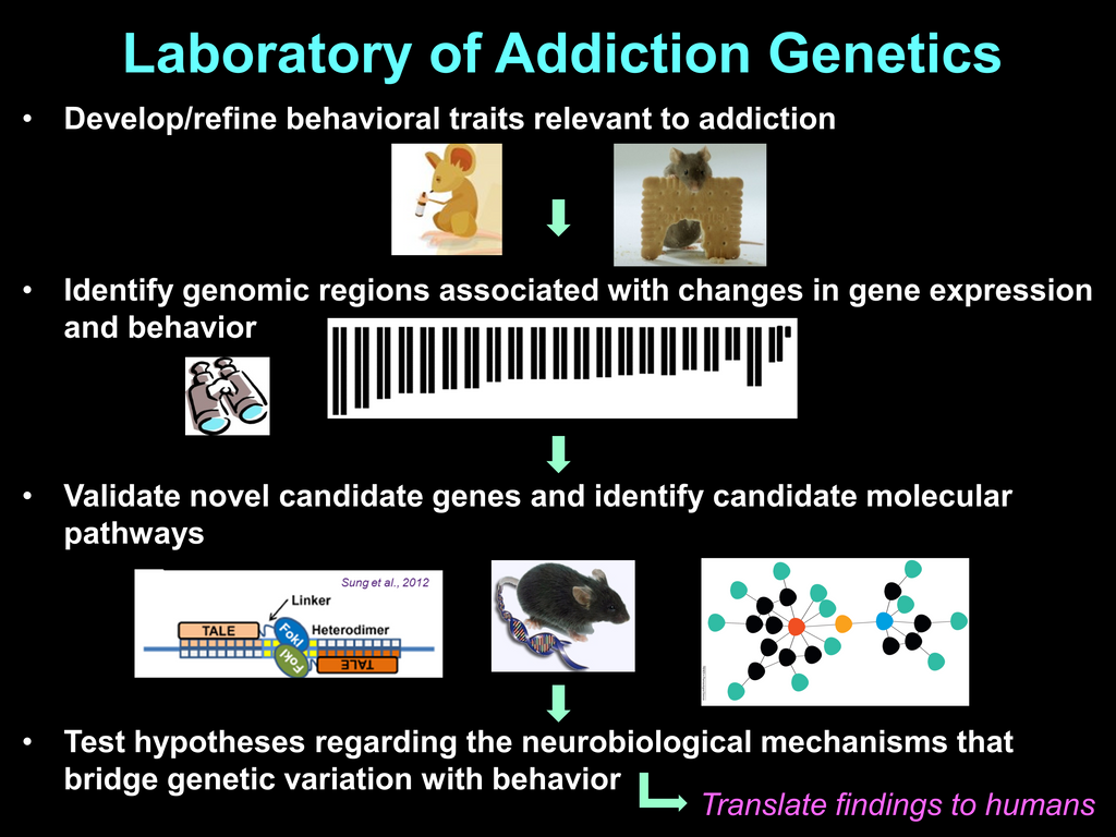Laboratory of Addiction Genetics | Boston University