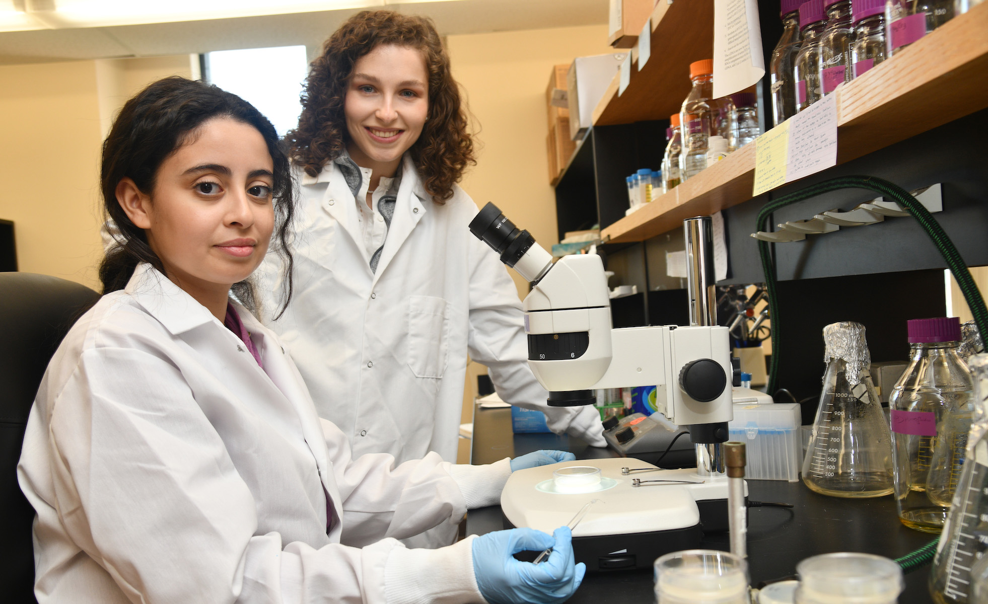 Research Cores | Center for Aging Research