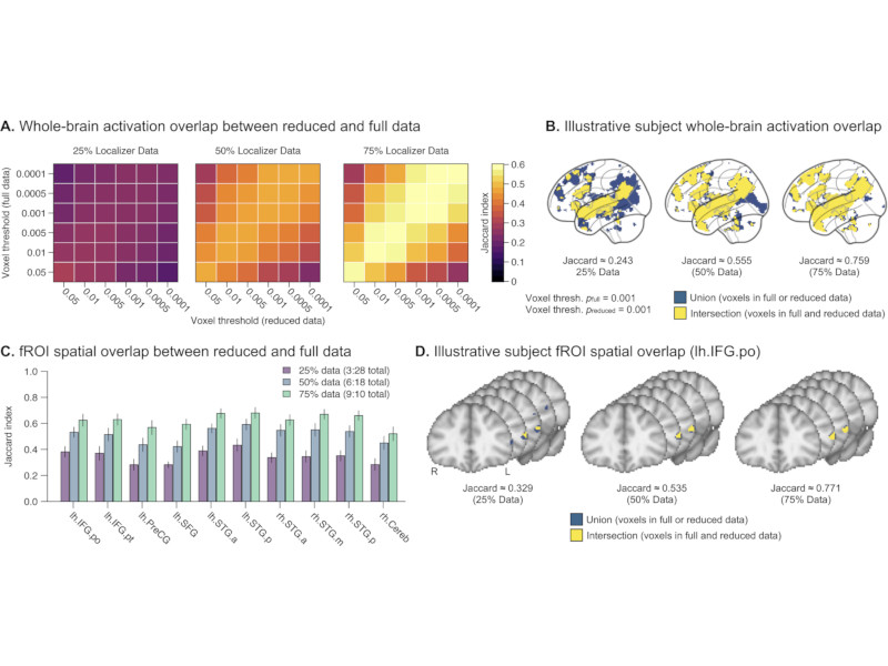 Communication Neuroscience Research Laboratory