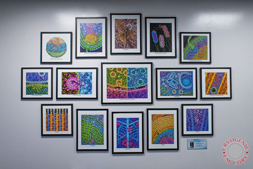 Instruments | CryoEM Core Facility