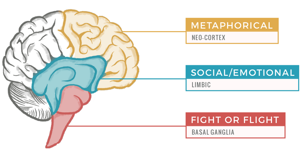 The Neurobiology of Trauma | Danielle Rousseau