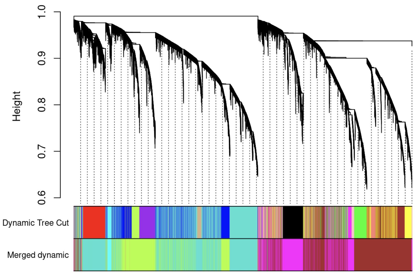 Teaching | The Davies Marine Population Genomics Lab