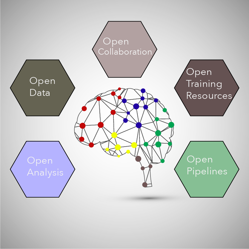 Lab News | Development, Experience, & Motor Recovery Lab