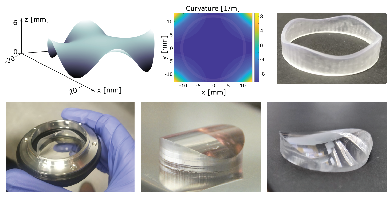 Research and publications | Frumkin Lab