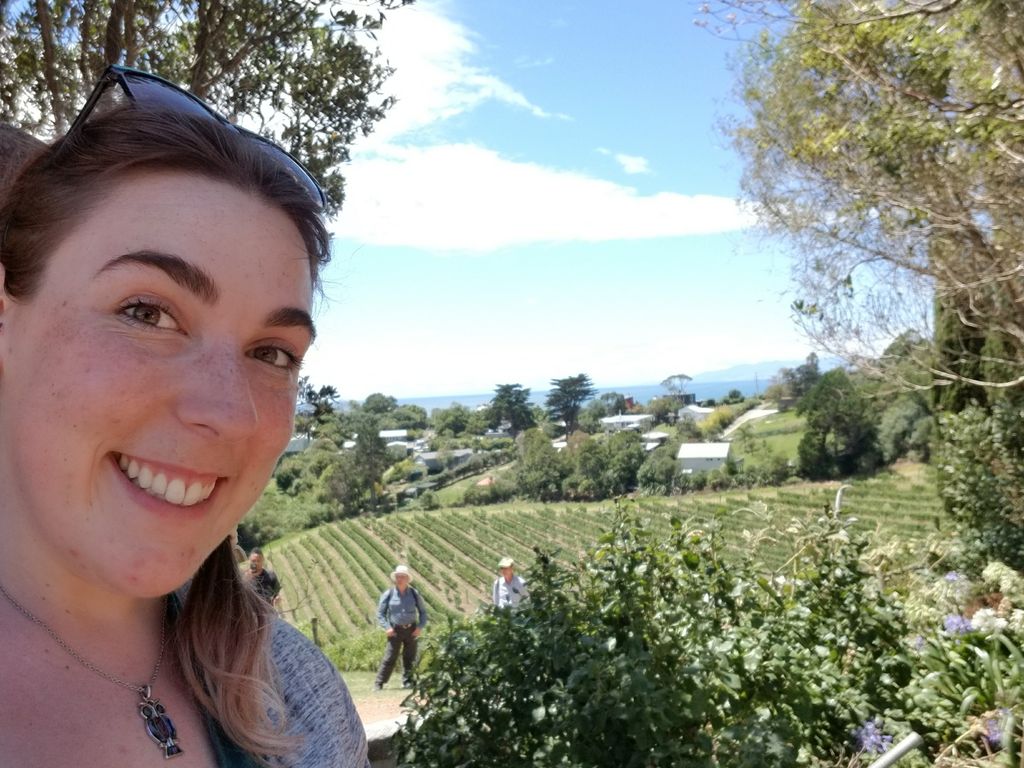 Fall 2018 | Gastronomy Blog