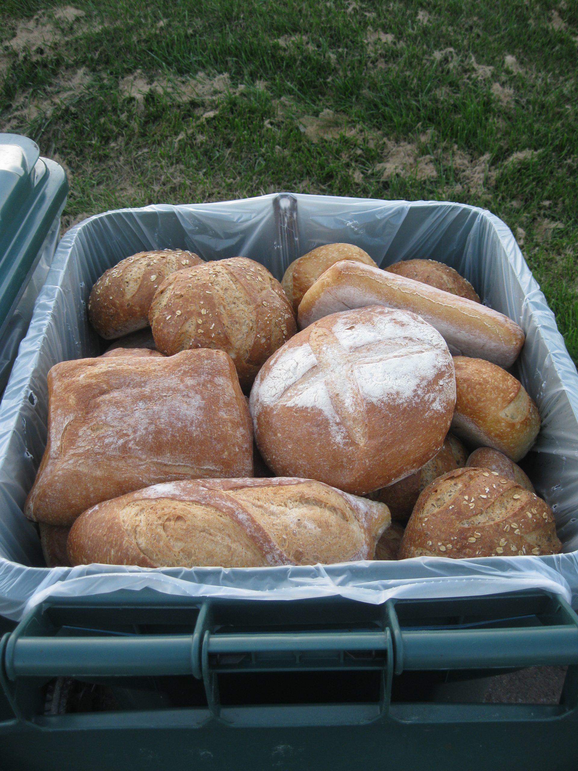 Accelerating Food Waste Reduction | Gastronomy Blog
