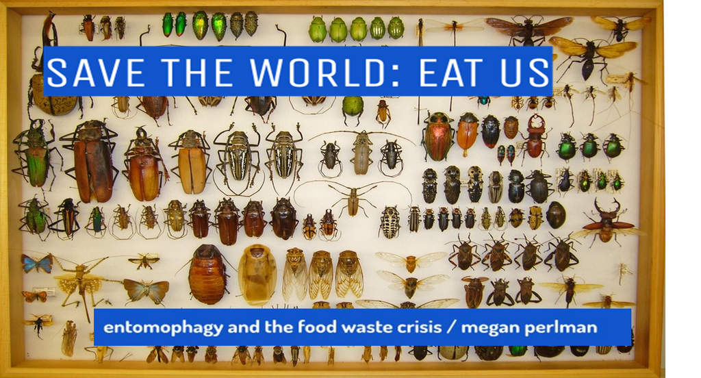 Saving the Planet in a Tasty(?) Way: Eat Bugs | Gastronomy Blog