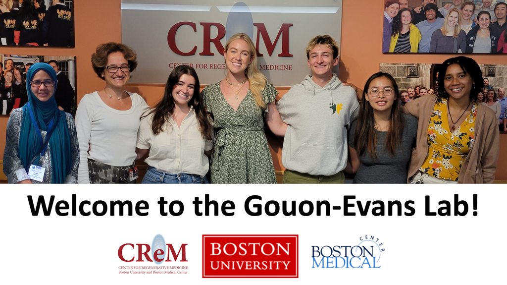 Gouon-Evans Lab