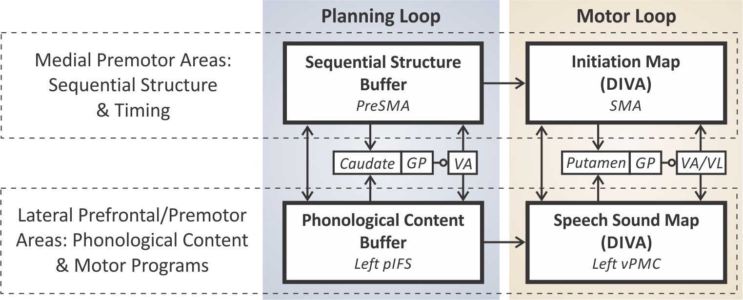 The GODIVA Model of Speech Sound Sequencing | Guenther Lab