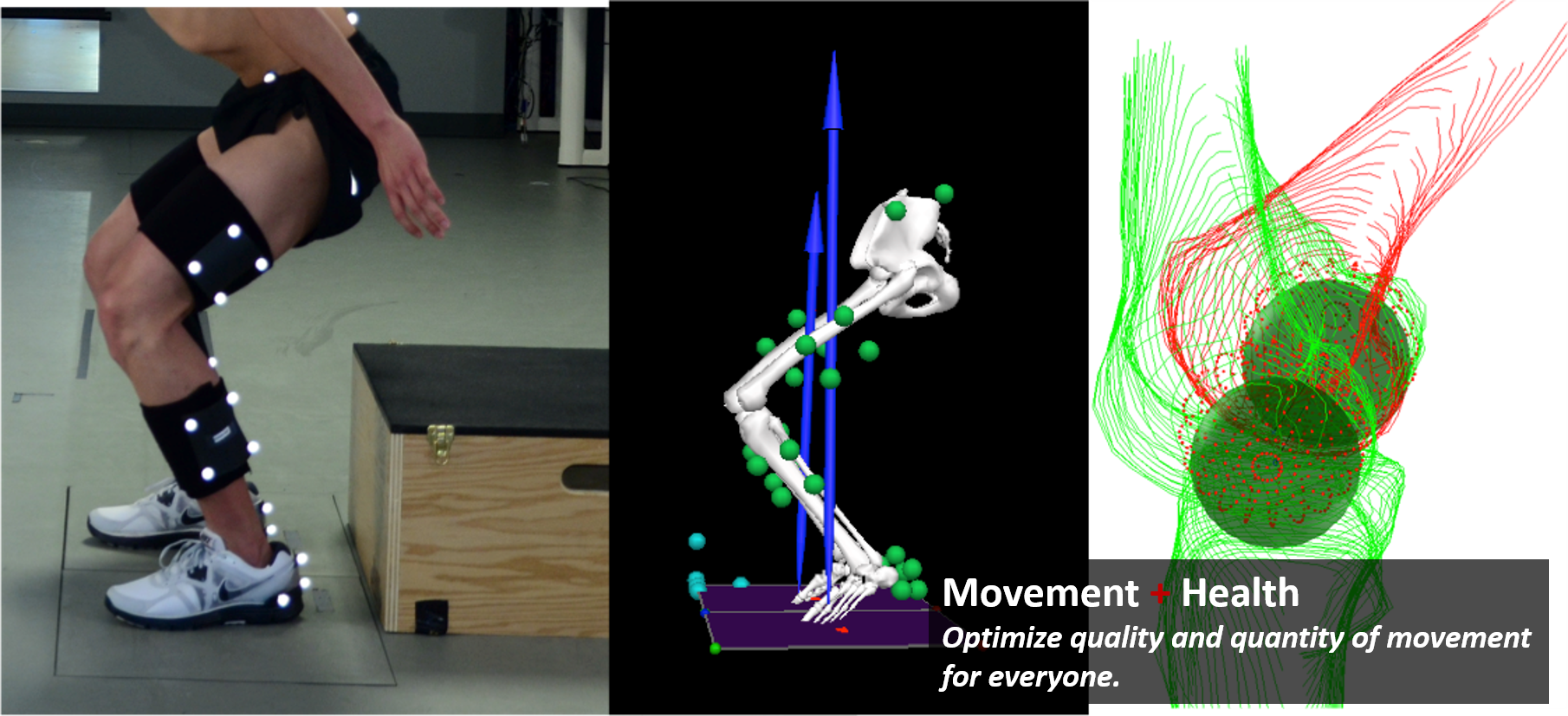 Movement & Applied Imaging Lab