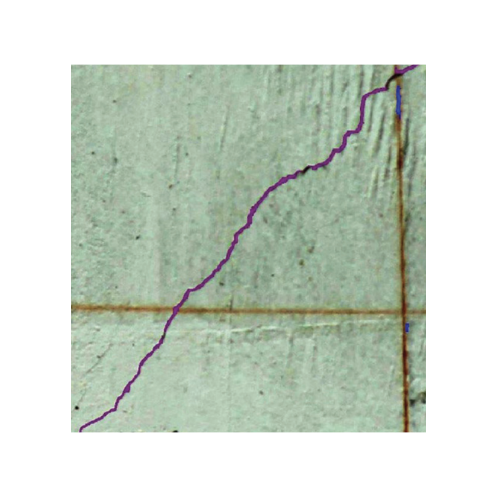 Publications | Lejeune Lab