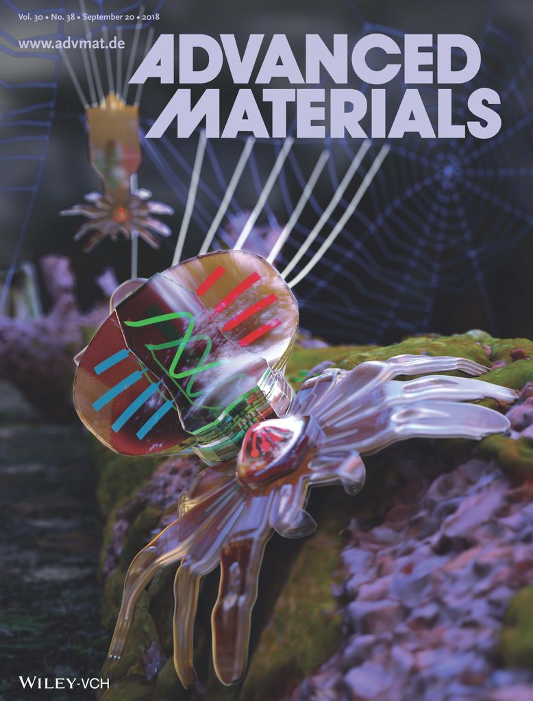 Our collaborative paper is featured on the cover of Advanced Materials ...