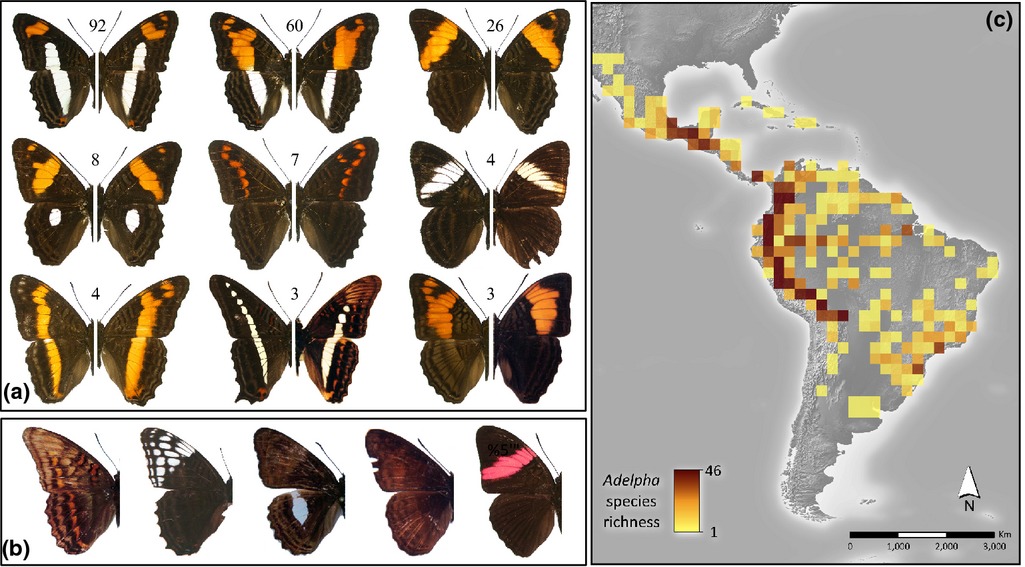 Research | Mullen Lab – Evolutionary Genomics