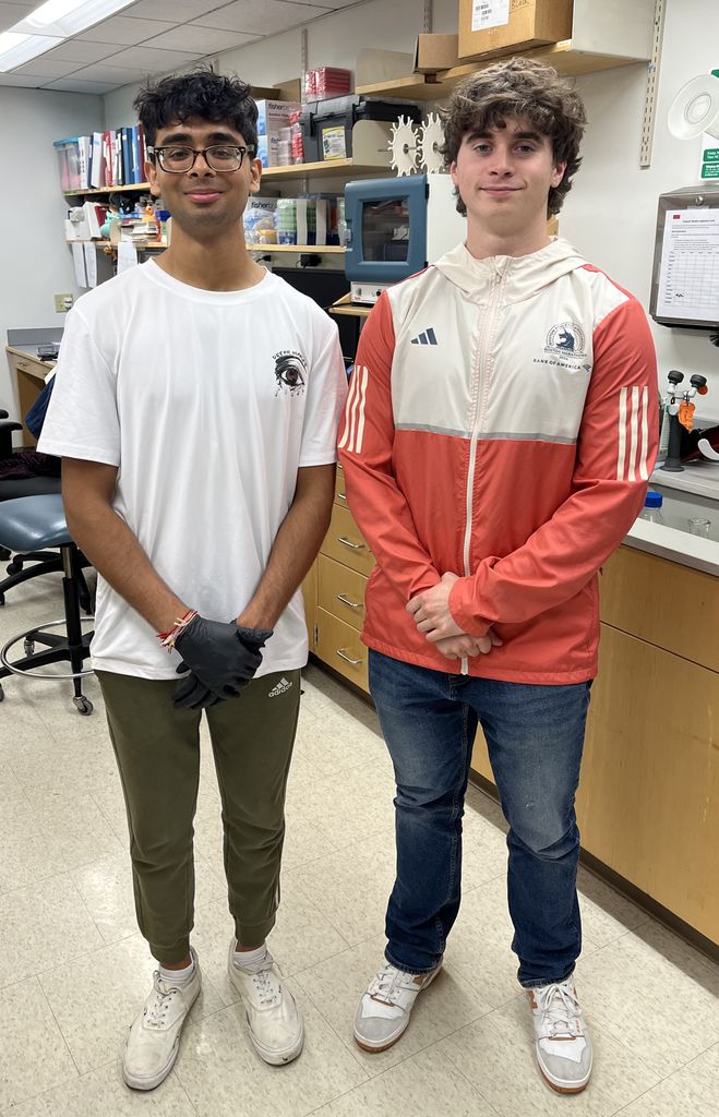 UROP Projects | Skeletal Muscle Physiology Laboratory