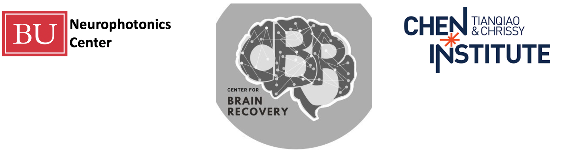 Neuroscience of the Everyday World