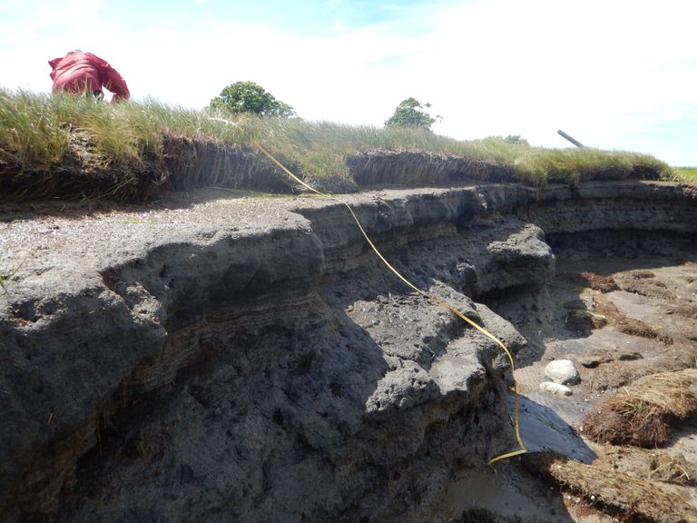 Marsh Edge Erosion » Novak Lab | Boston University