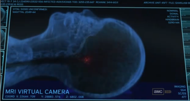 Zombies, brains, and media, oh my! » the nerve blog | Blog Archive ...