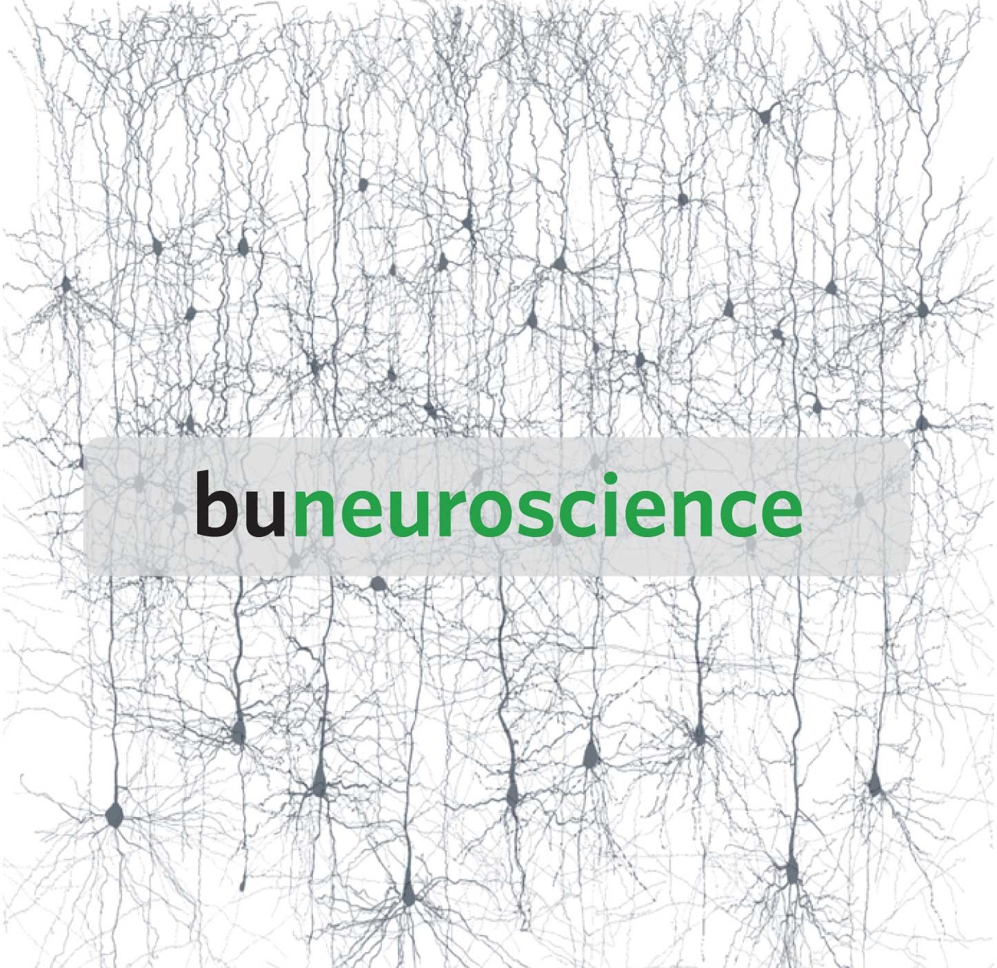 Neuroscience Shirt Designs! » the nerve blog | Blog Archive | Boston ...