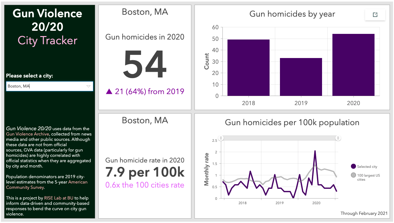 Preview: Gun Violence 20/20 City Tracker | RISE Lab