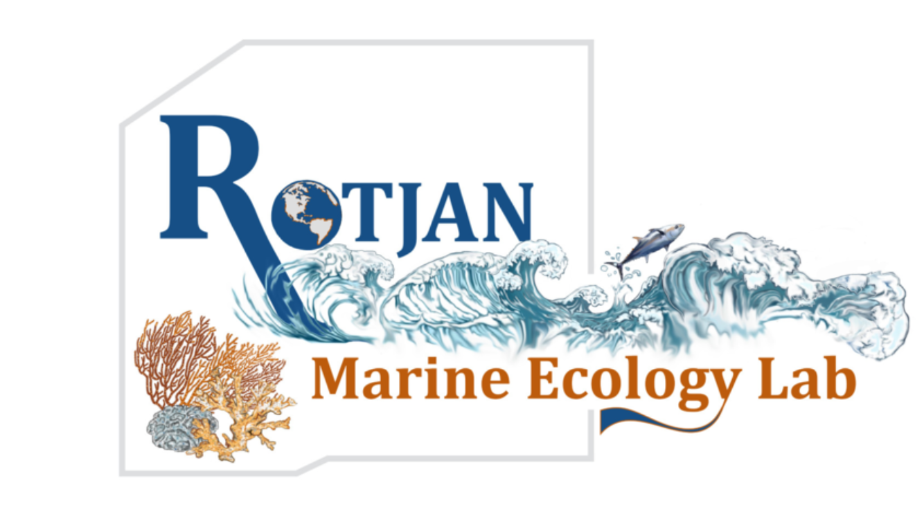 Who we are | Rotjan Marine Ecology Lab
