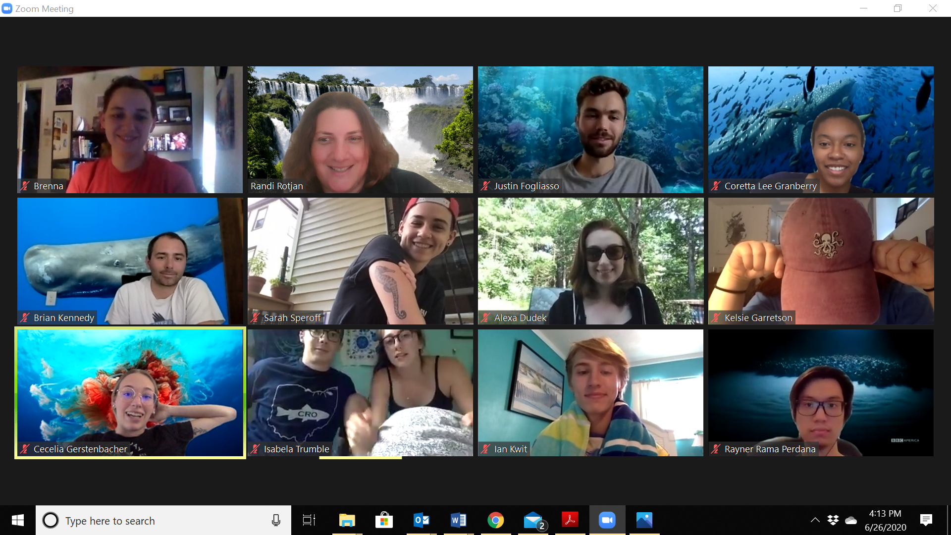 Zoom Themes | Rotjan Marine Ecology Lab