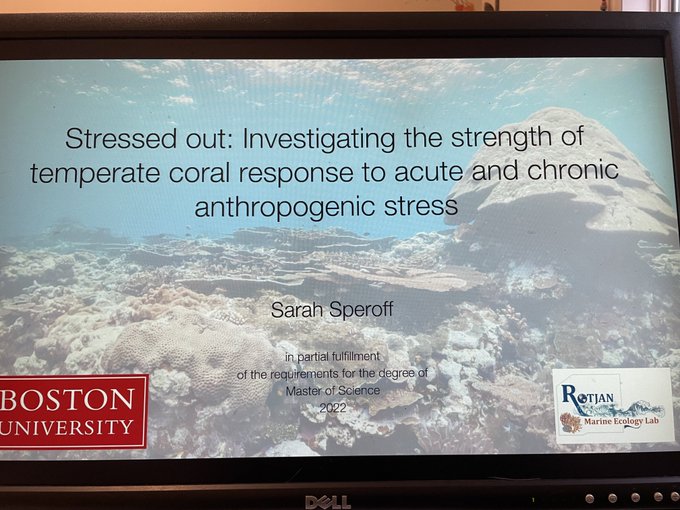 Lab News | Rotjan Marine Ecology Lab