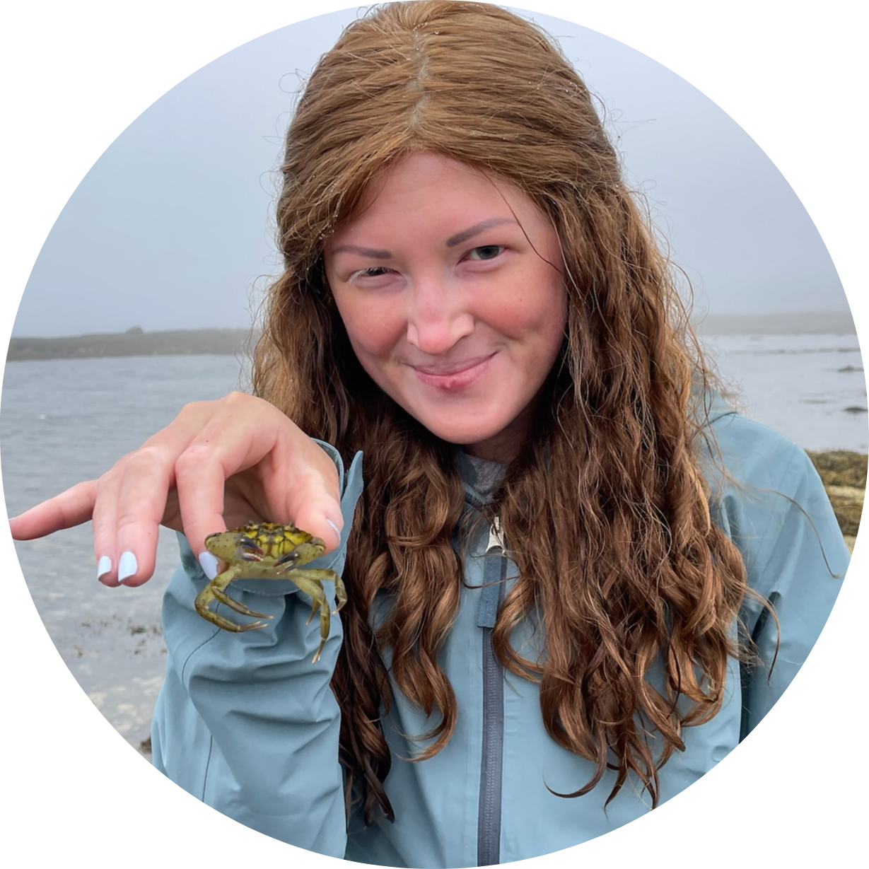 Who we are | Rotjan Marine Ecology Lab