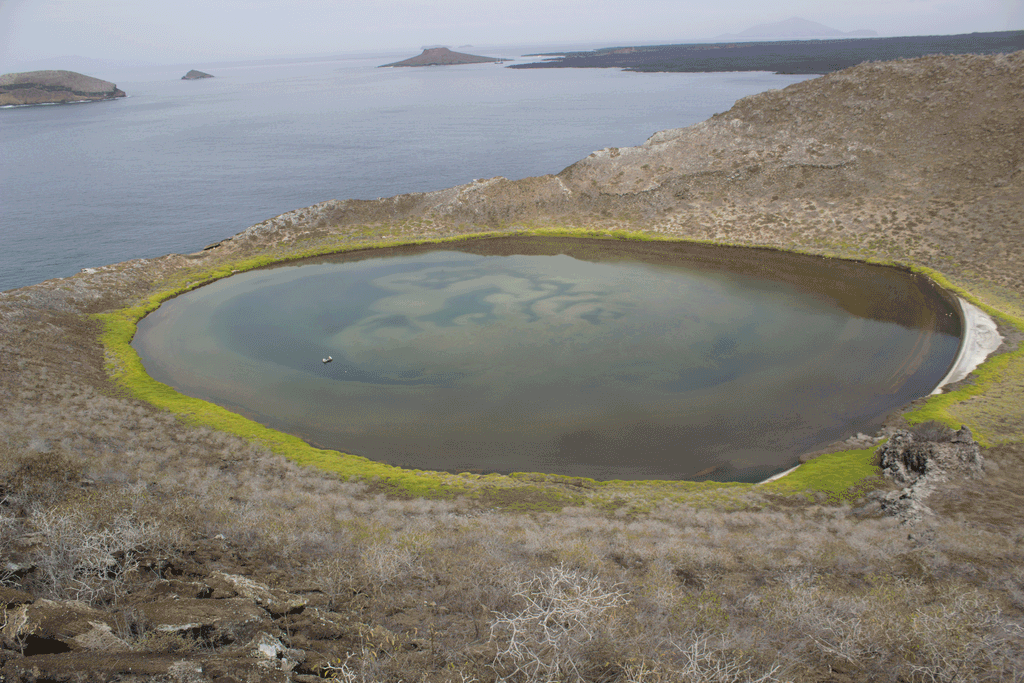 Two new papers published in the journal Paleoceanography | Tropical ...