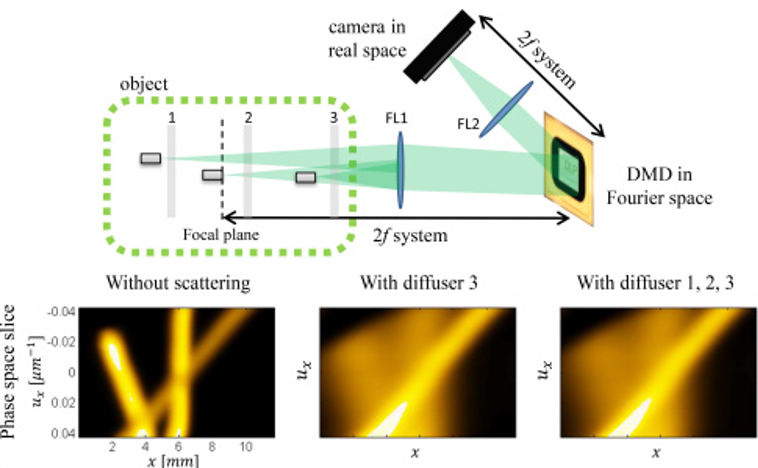 Imaging in Scattering Media | Tian Lab