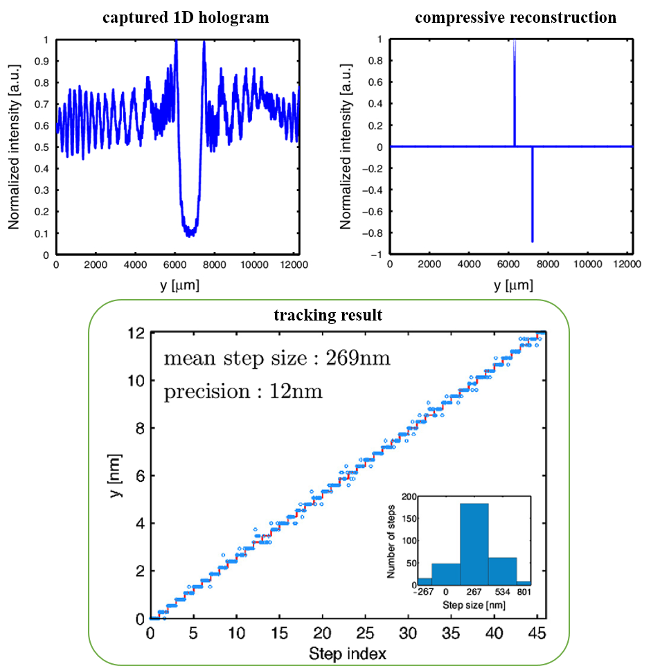 Digital Holographic Imaging | Tian Lab