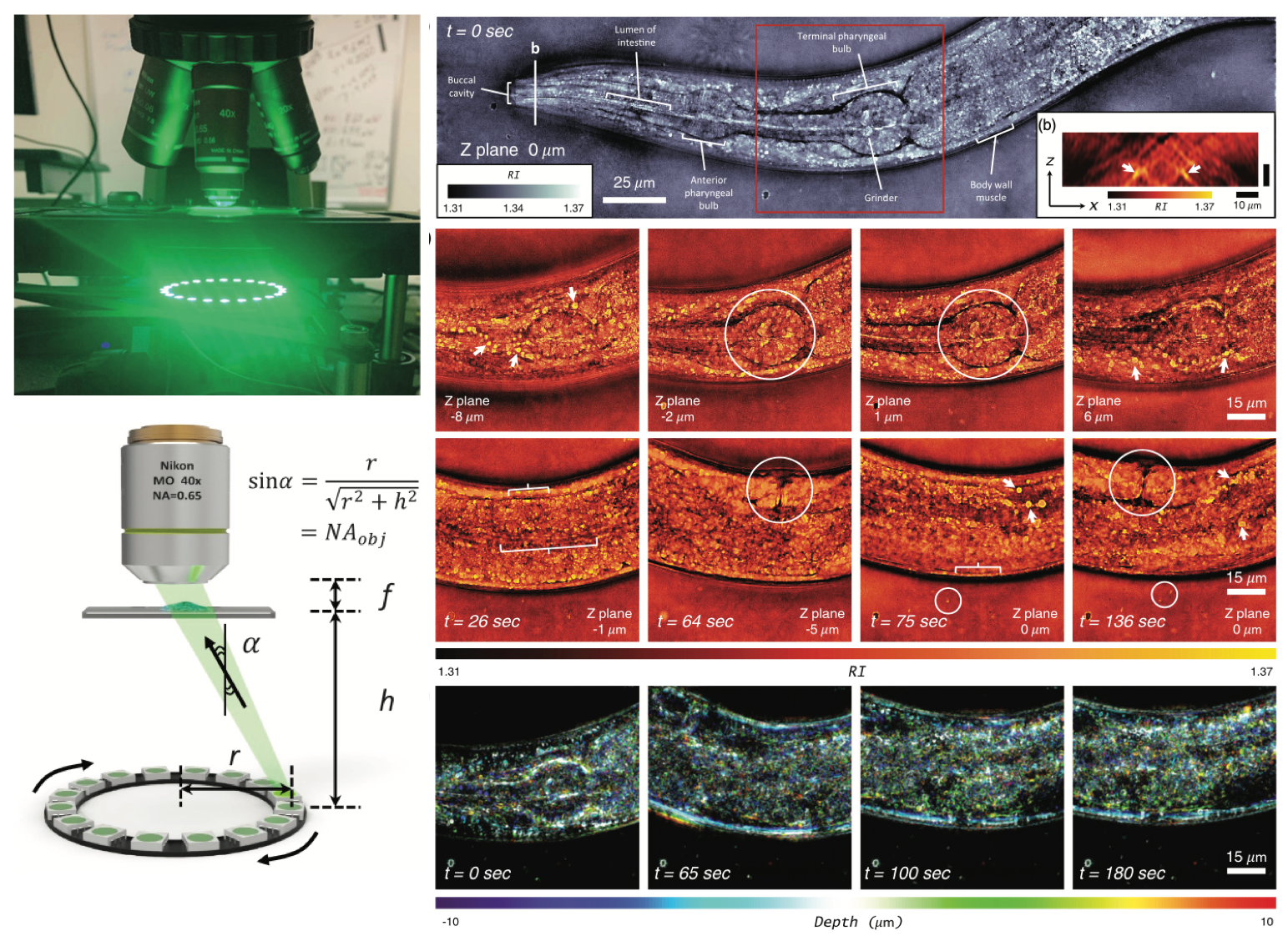 Computational Phase Microscopy | Tian Lab