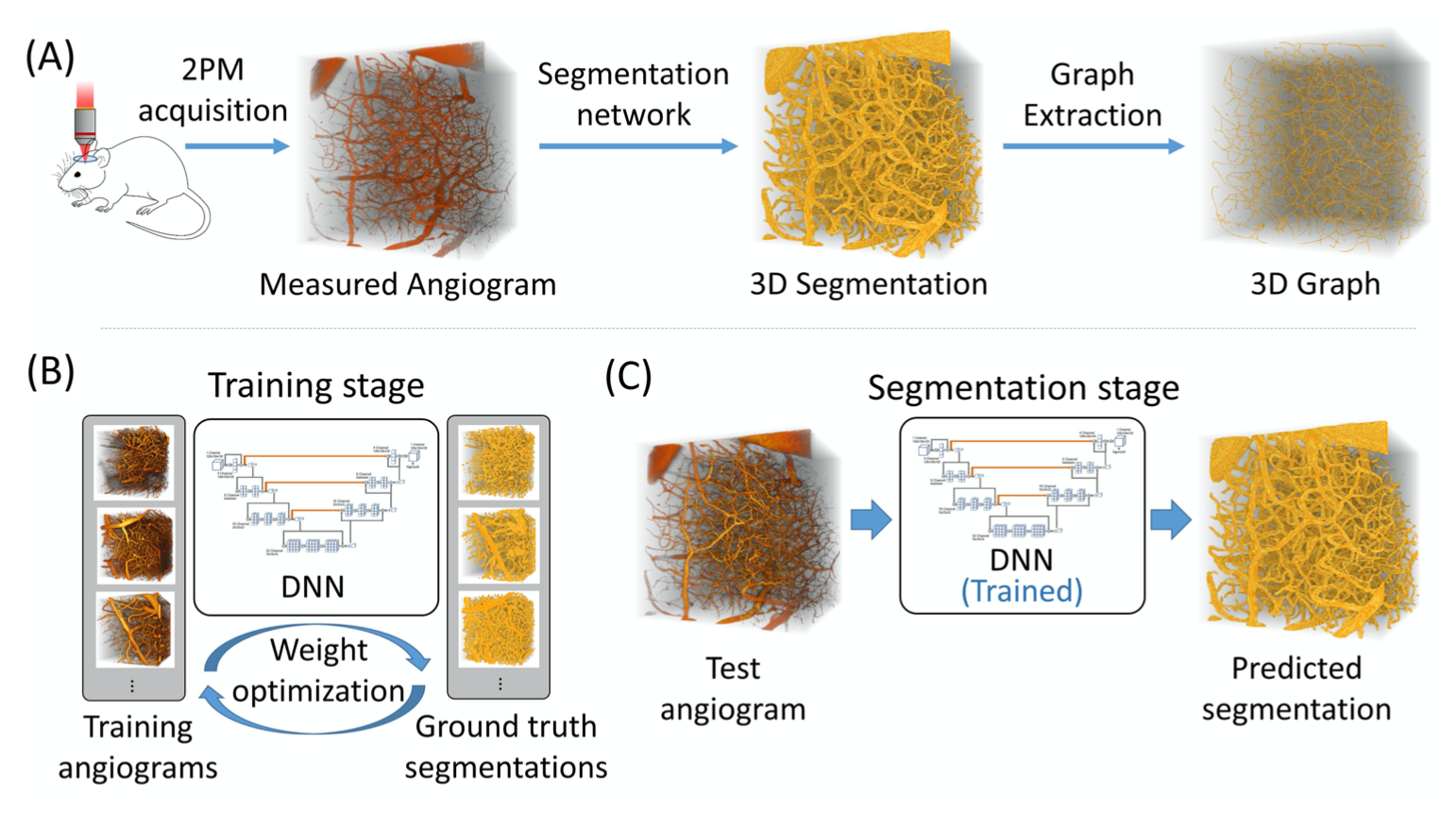Open Source | Tian Lab