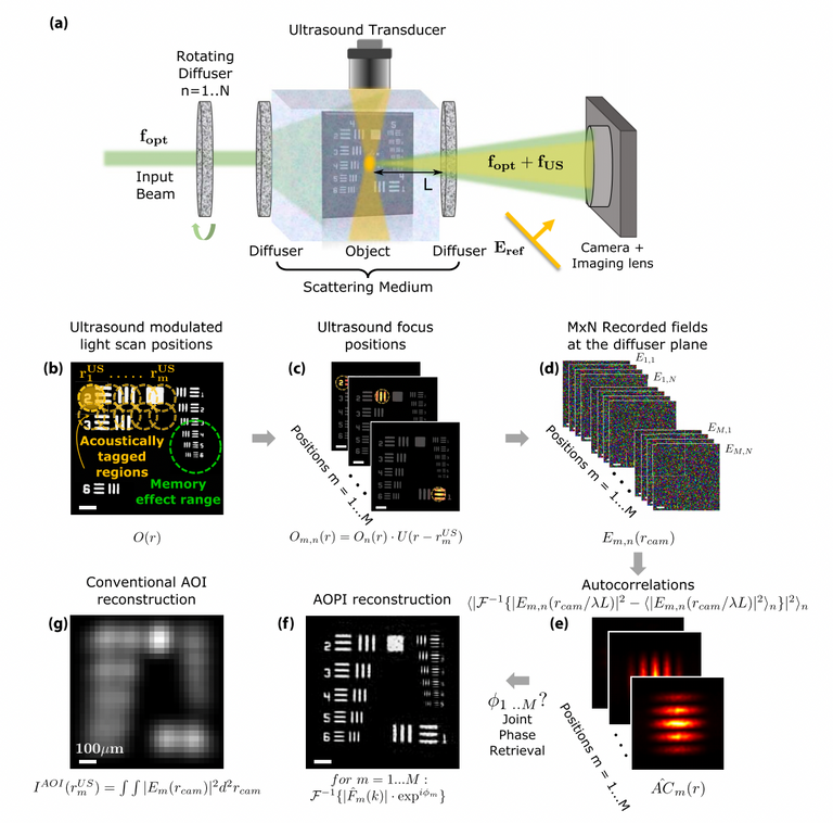Imaging in Scattering Media | Tian Lab