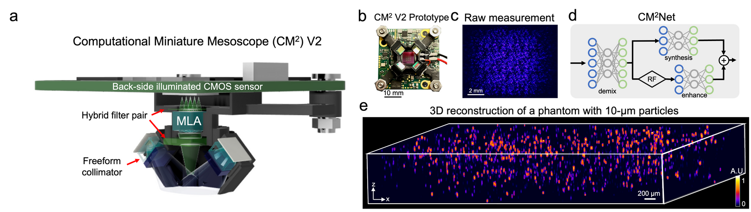 Publications | Tian Lab