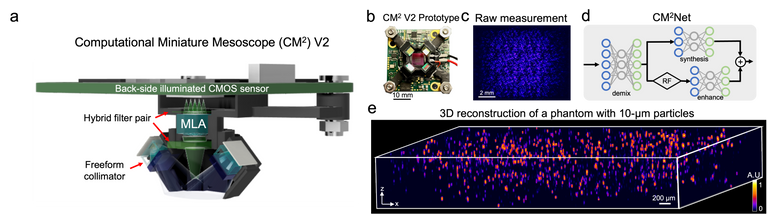 Publications | Tian Lab