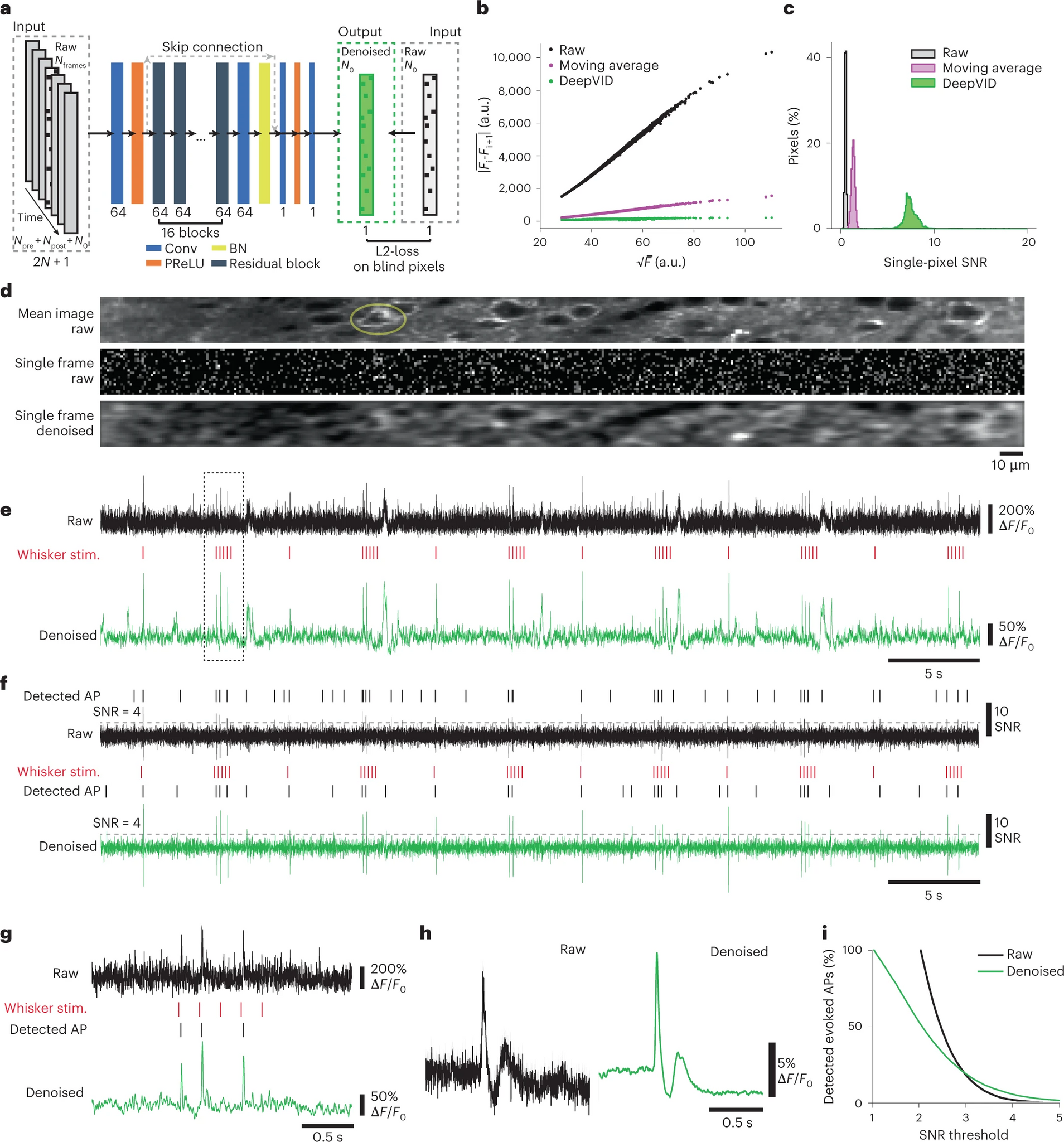 Publications | Tian Lab