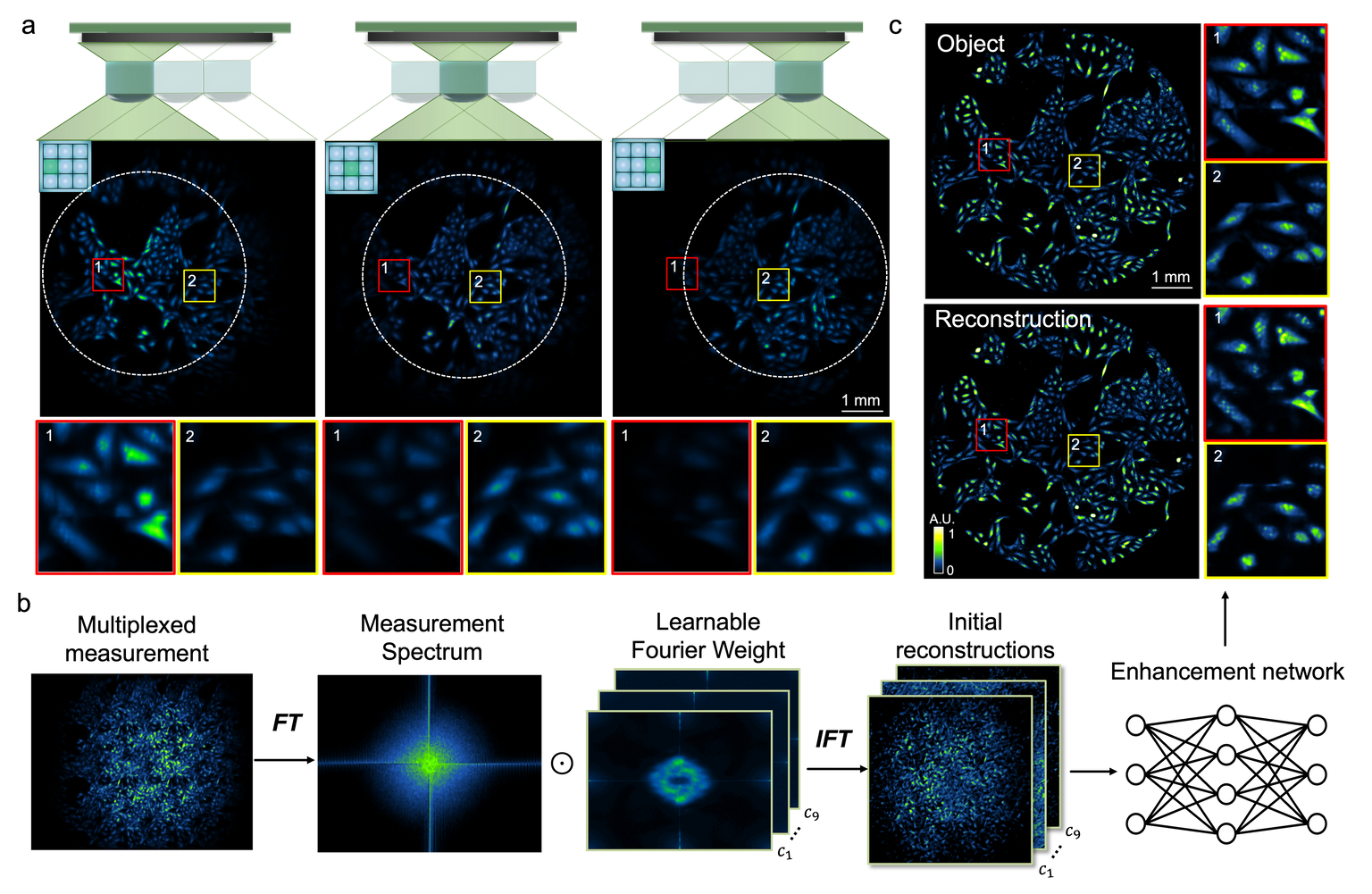 Deep learning for biomedical imaging | Tian Lab