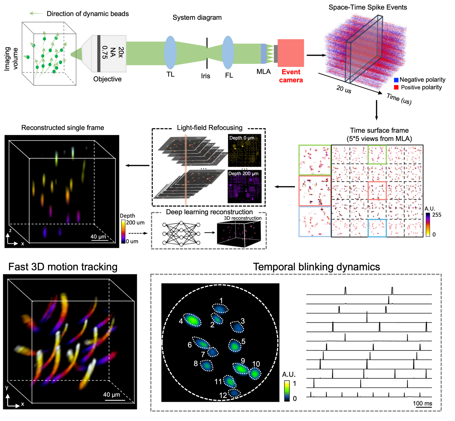 Publications | Tian Lab