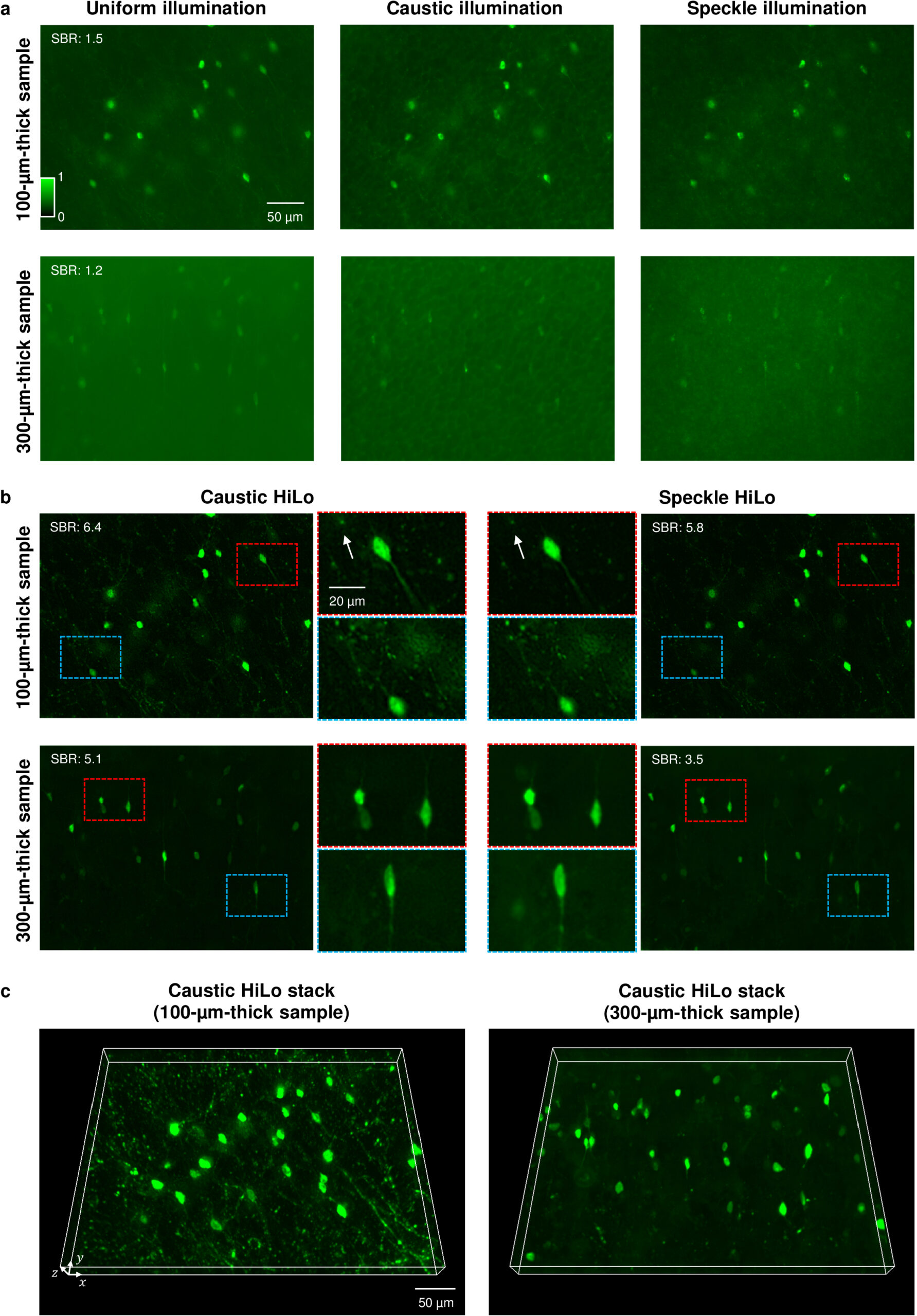 Imaging in Scattering Media | Tian Lab