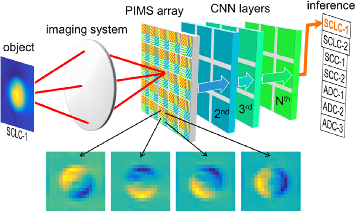 Publications | Tian Lab
