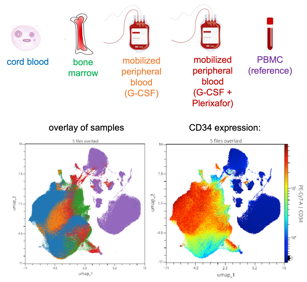 Research | Vanuytsel Lab