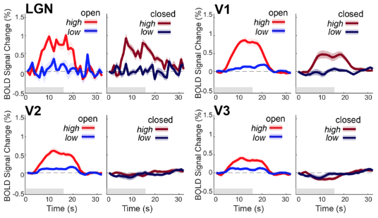 Differential cortical and subcortical visual processing with eyes shut ...